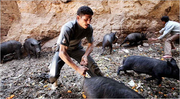 Said Another Way: The Fifth Sunday after Pentecost [Proper 7C] - June ...