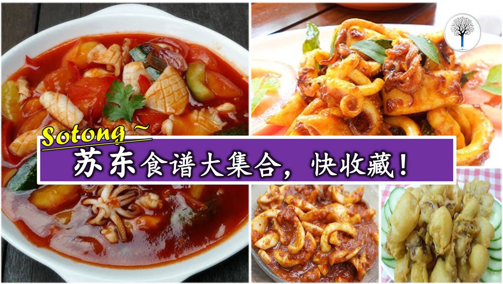 Sotong 要这样煮才好吃！ - Leesharing