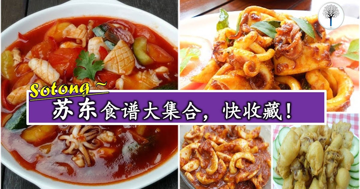 Sotong 要这样煮才好吃！ - Leesharing