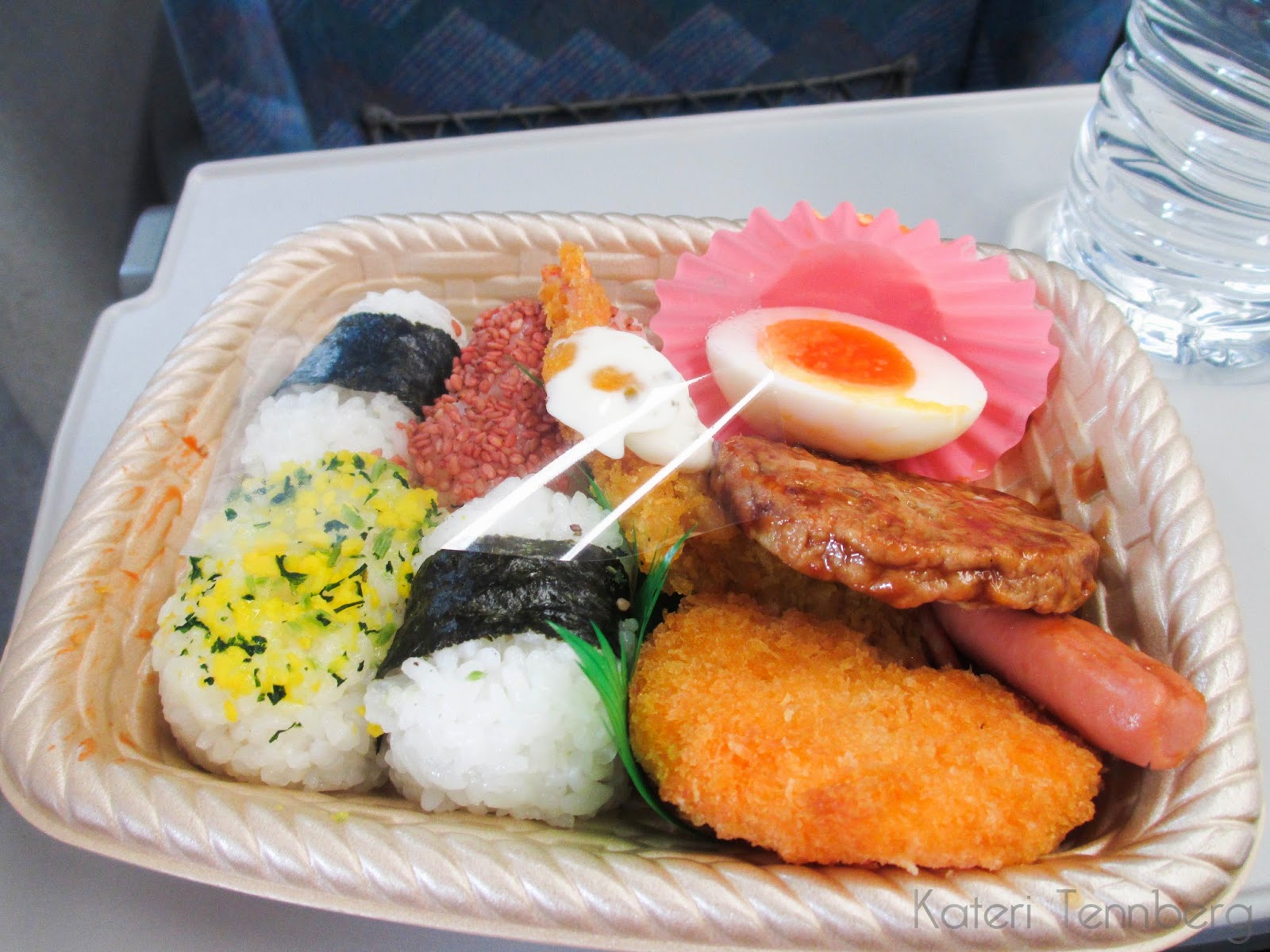 Japan 2013 Day 7: Shinkansen to Tokyo and Shibuya - Kawaii Kauaian