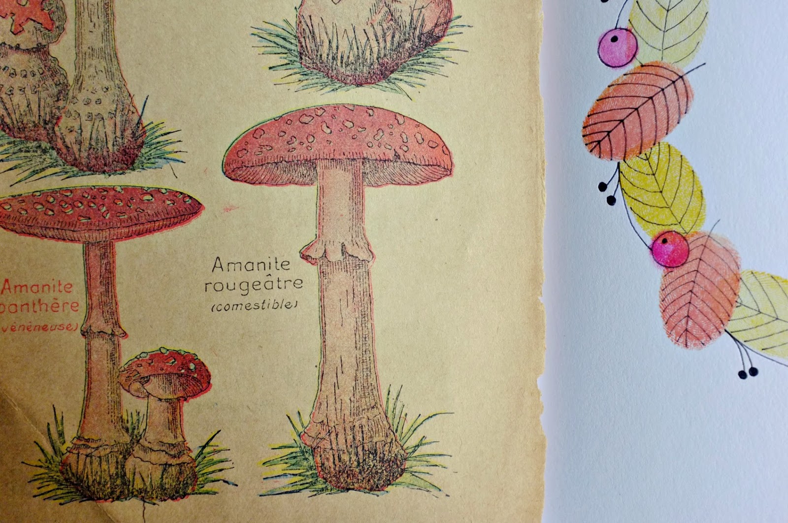 julie ♥ adore: Finger print automnal