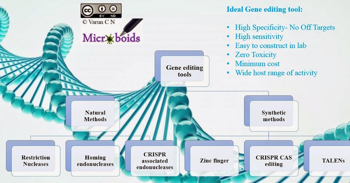 Medical Microbiology: Lab Series# 6: A short introduction to TALEN