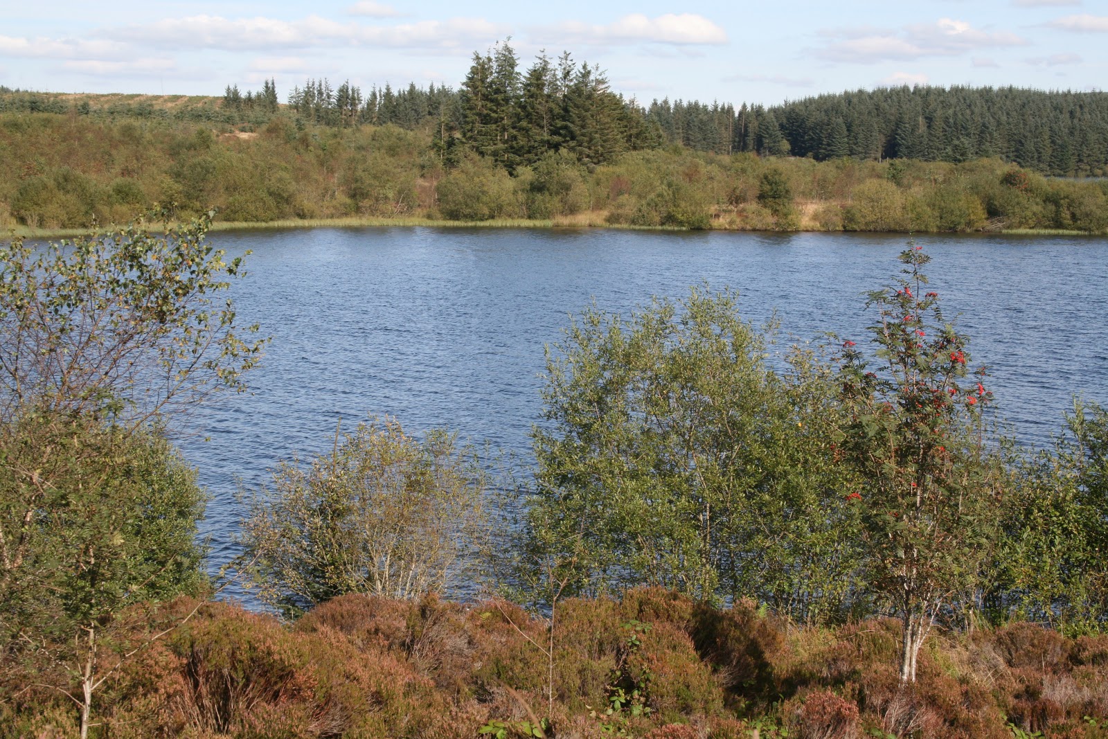 .: Views of Llyn Brenig