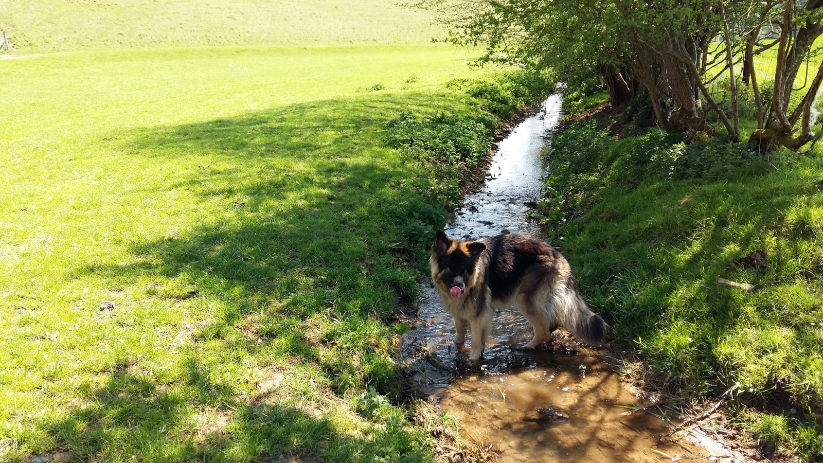 Cotswolds Travel: Idyllic Circular Walk Around Turkdean, Hazelton, and ...