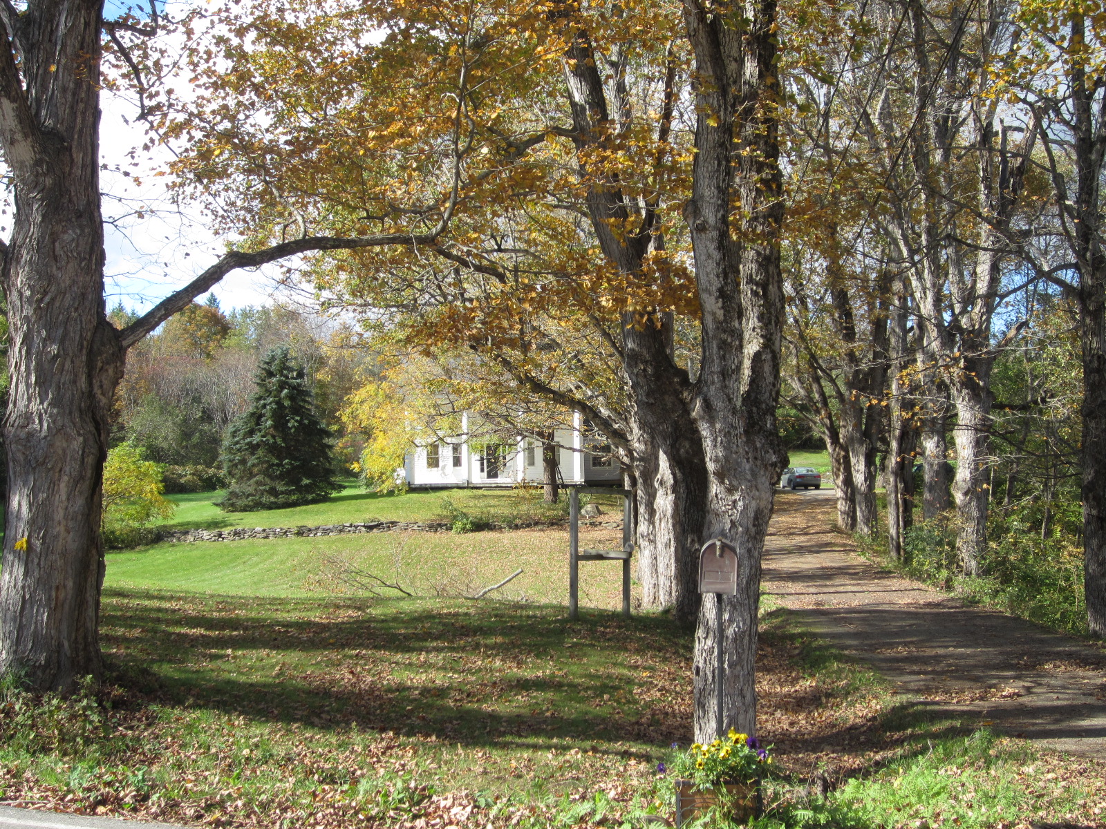 THE DOWNEAST DILETTANTE: SOLON MAINE, VIA CHINA AND ROME