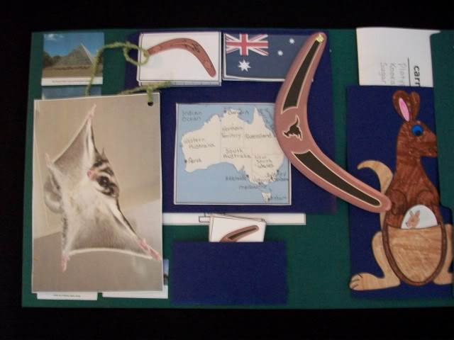 SCIENCESATIONAL: STEPS FOR YOUR AUSTRALIAN PROJECT