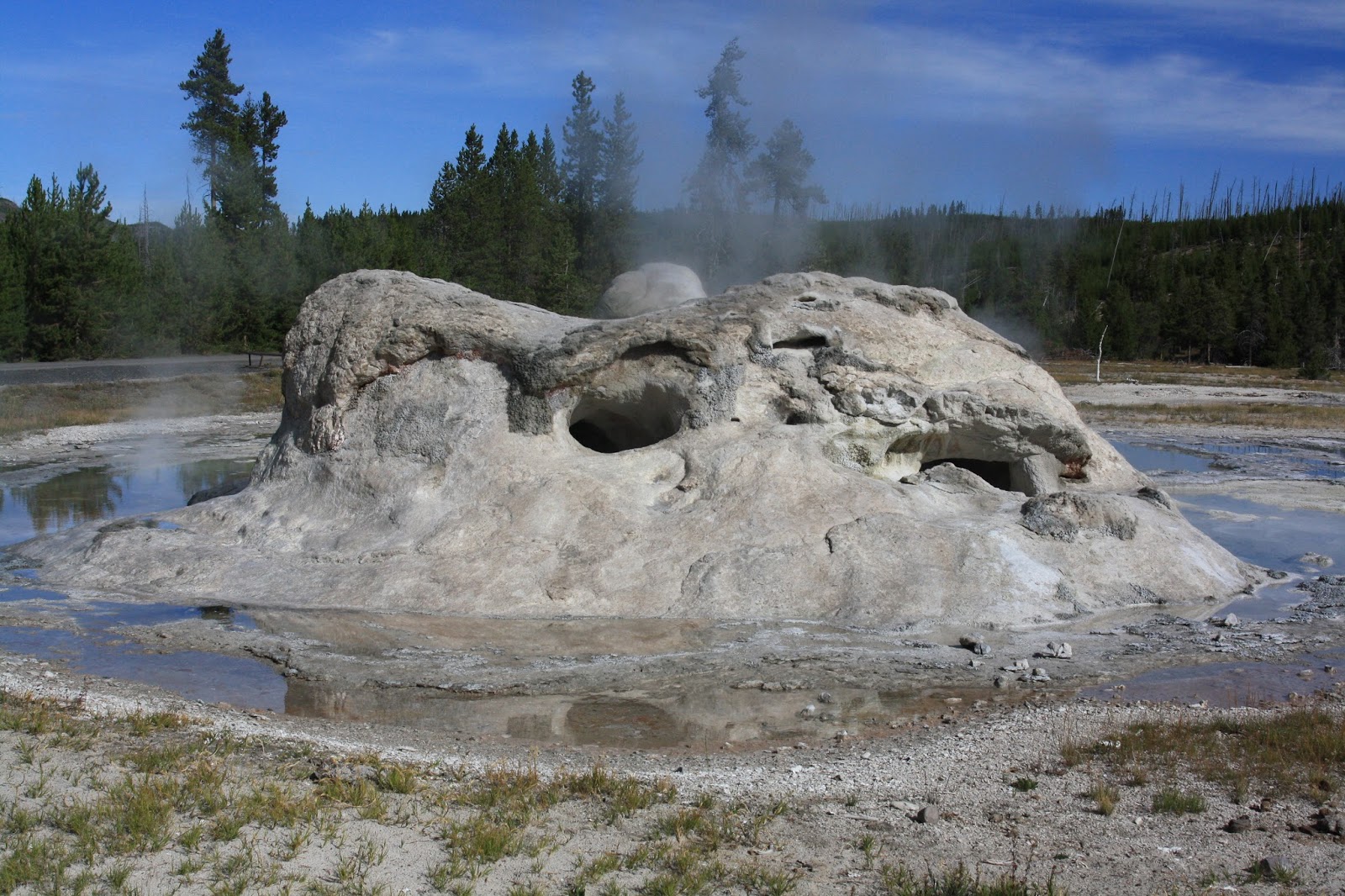 Nomadic Newfies: Yellowstone Flashback - Geysers Galore