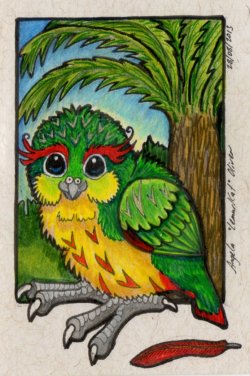 The Daily Art of LemurKat: NZ Parrot Pokemon