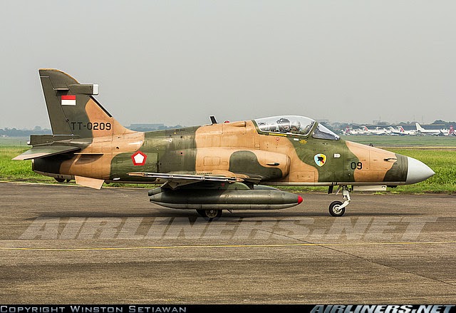 AIRPLANE SCALE MODELKIT: BAe Hawk-200