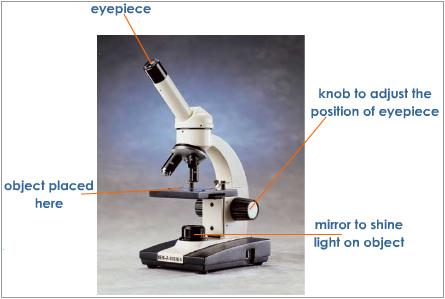 PHYSICS★★: 5.4 Understanding Lenses