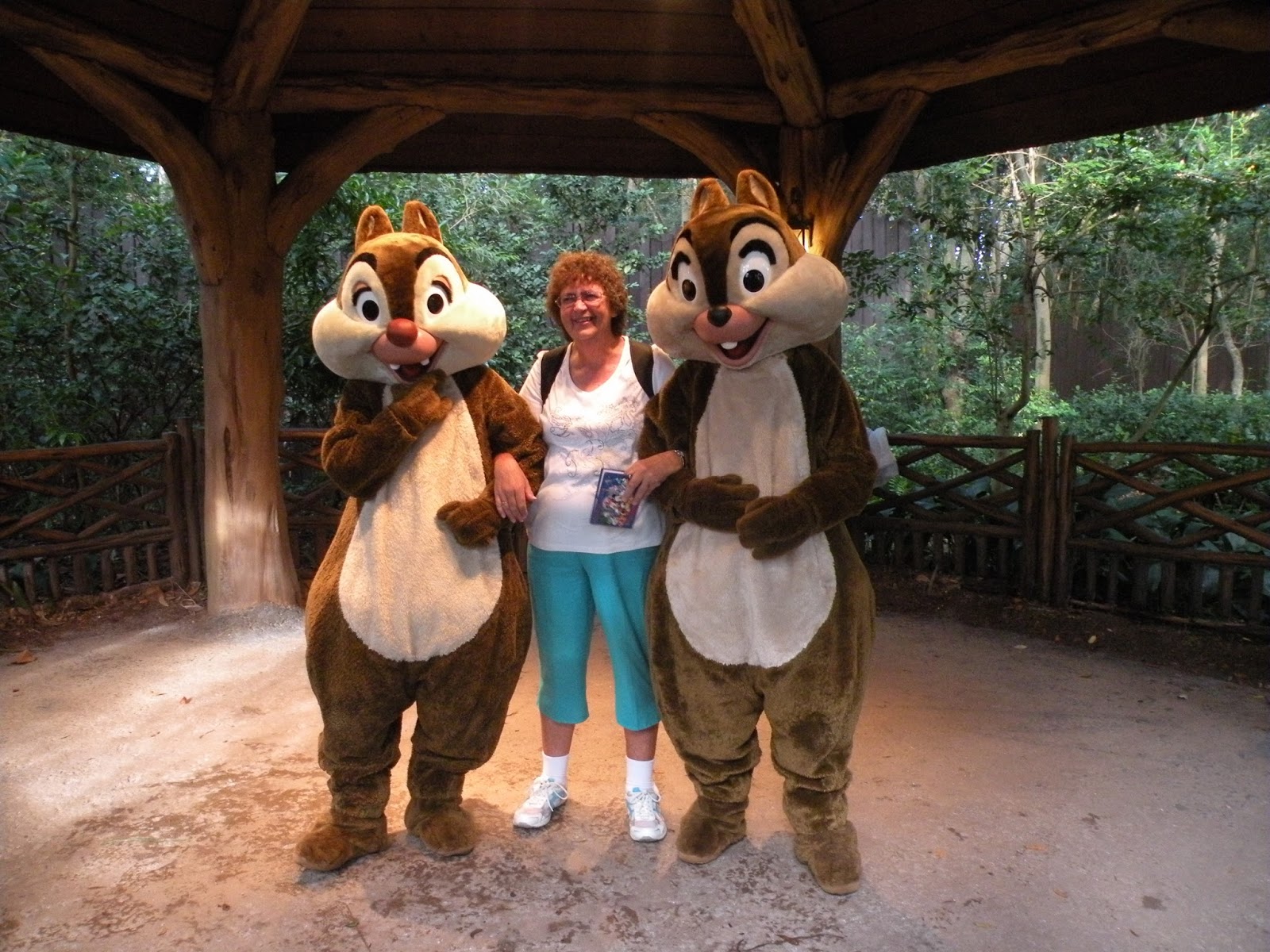 Pam's blog: Rafiki, Goofy, Pluto, Pooh, Tigger, Baloo, Donald Duck ...