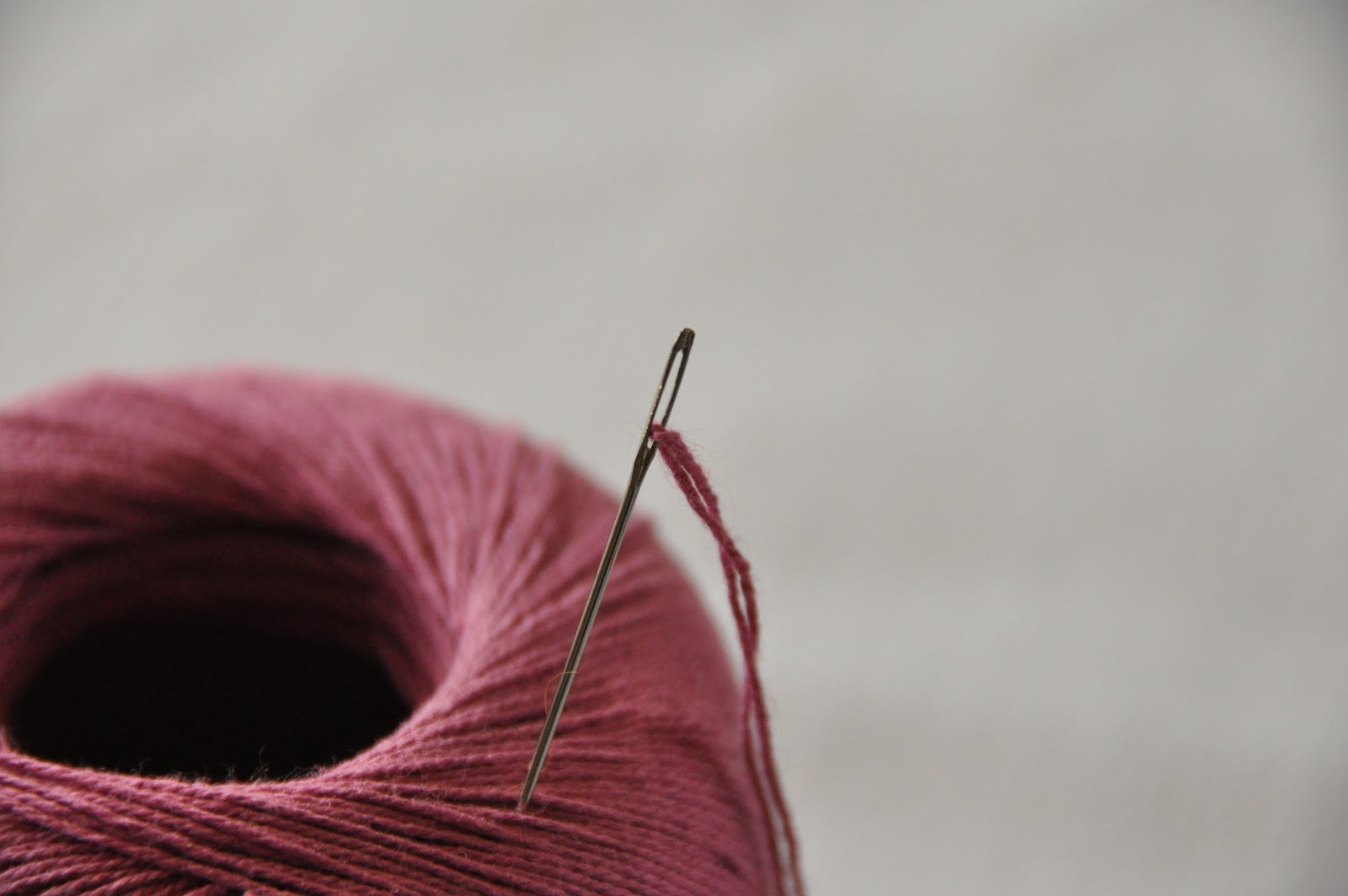 Imagery from Life: My Photo Challenge - A Needle & Thread