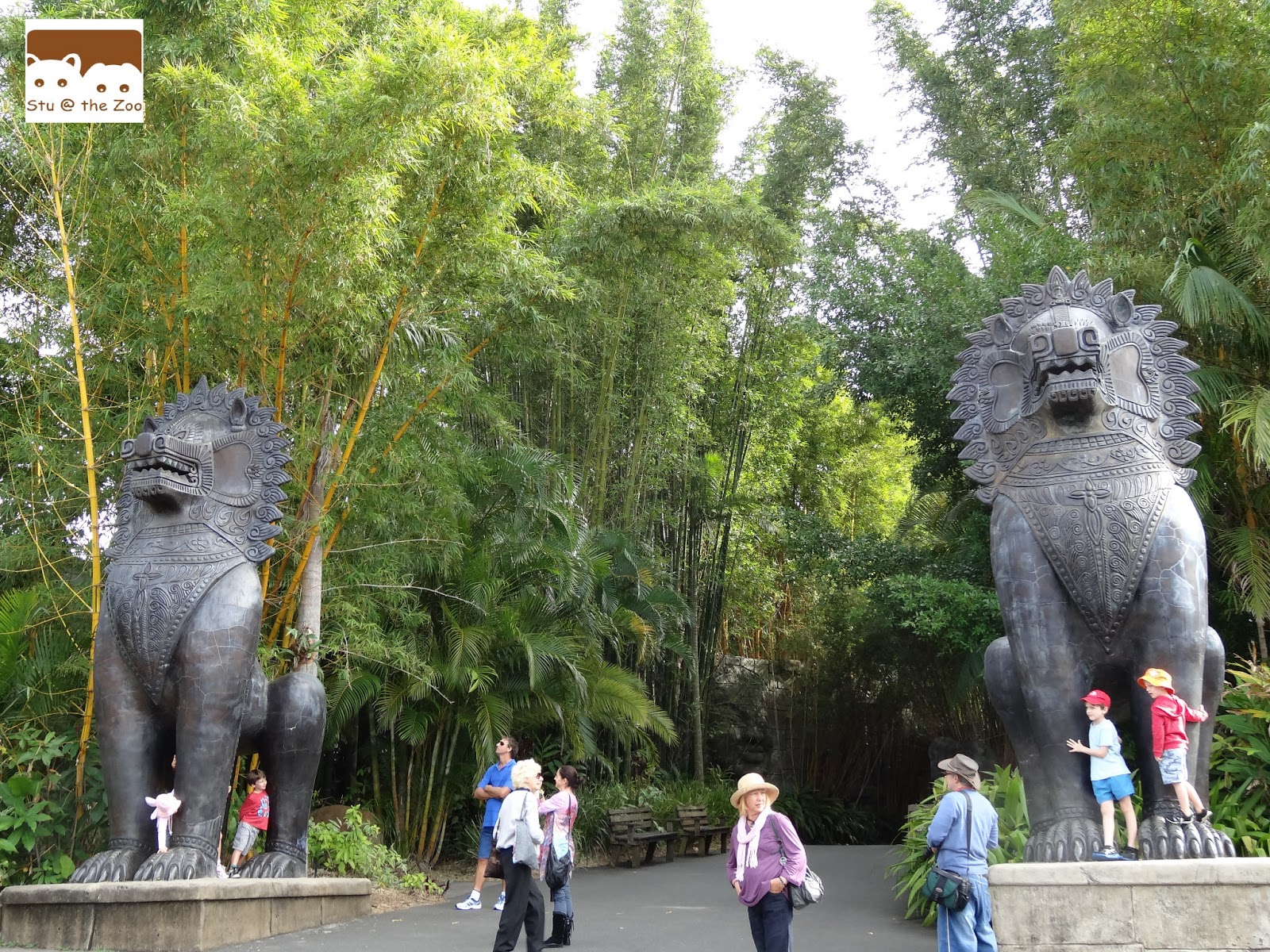 Stu @ the Zoo: In Focus – Tiger