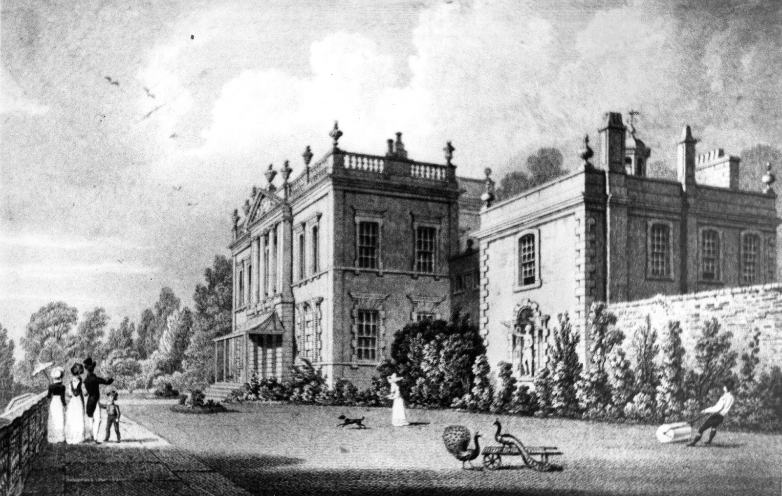 Landed families of Britain and Ireland: (321) Baillie of Dochfour and ...