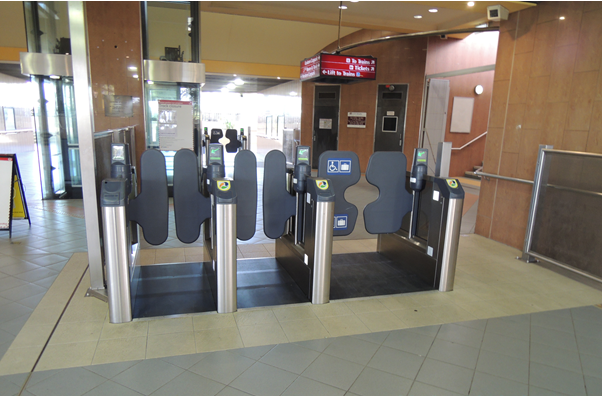 Amazing Gold Coast: Brisbane Day-Trip (Part 1) - Surfers Paradise to ...