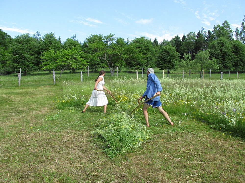 Scythe Connected: Q&A: Left-handed scythes?