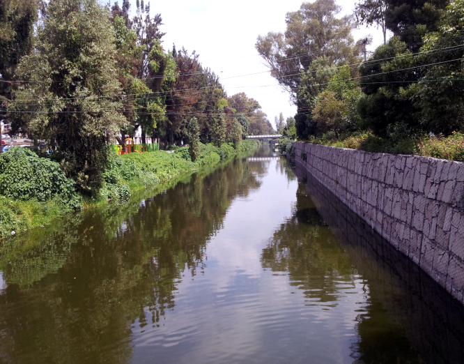 La voz de Bartola. El Canal Nacional y la comunidad: El Canal Nacional ...