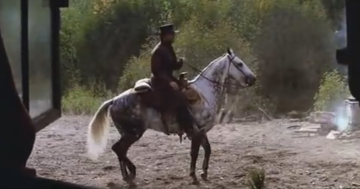 SPOILER: MIS ESCENAS FAVORITAS: “Y CONTEMPLÉ UN CABALLO PÁLIDO Y EL ...