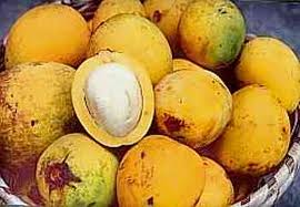 Frutos de nossa Terra: BACURI (Platonia insignis Mart.),