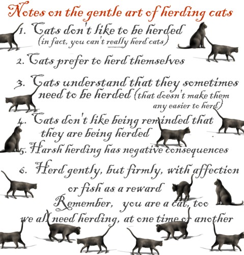 Herding Cats