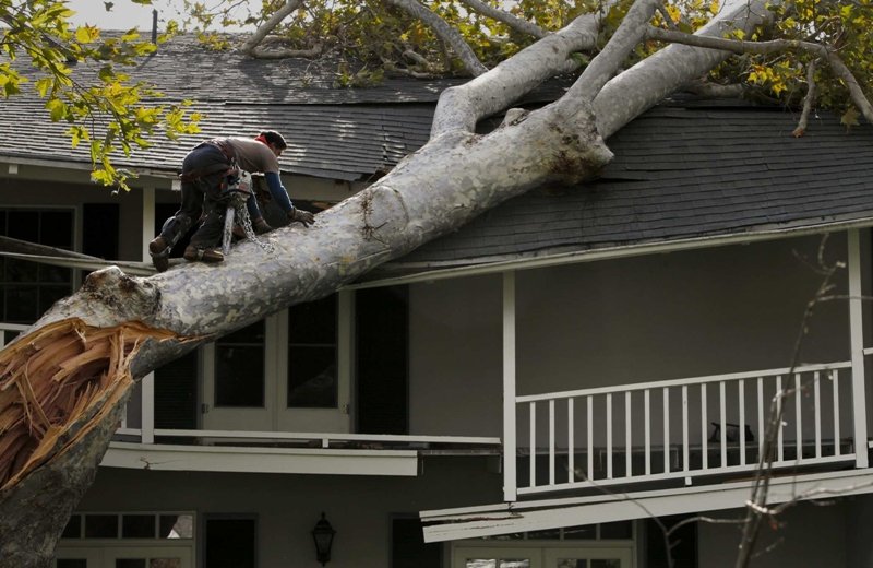 My Insurance Guys Blog: Get Your Tree Off Of My Roof!