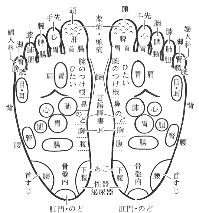 UZDROWICIELE BIOTERAPIA AKUPRESURA ZIOŁOLECZNICTWO EGZORCYZMY ...