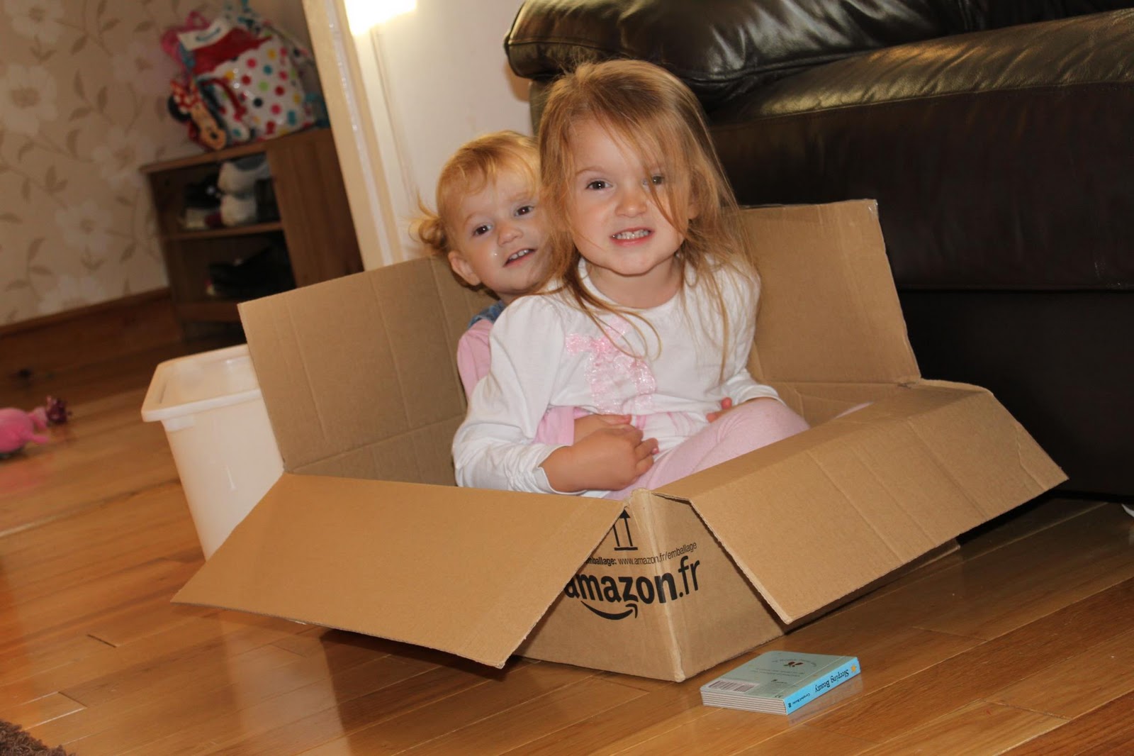 Totally Toddlers: The Cardboard box