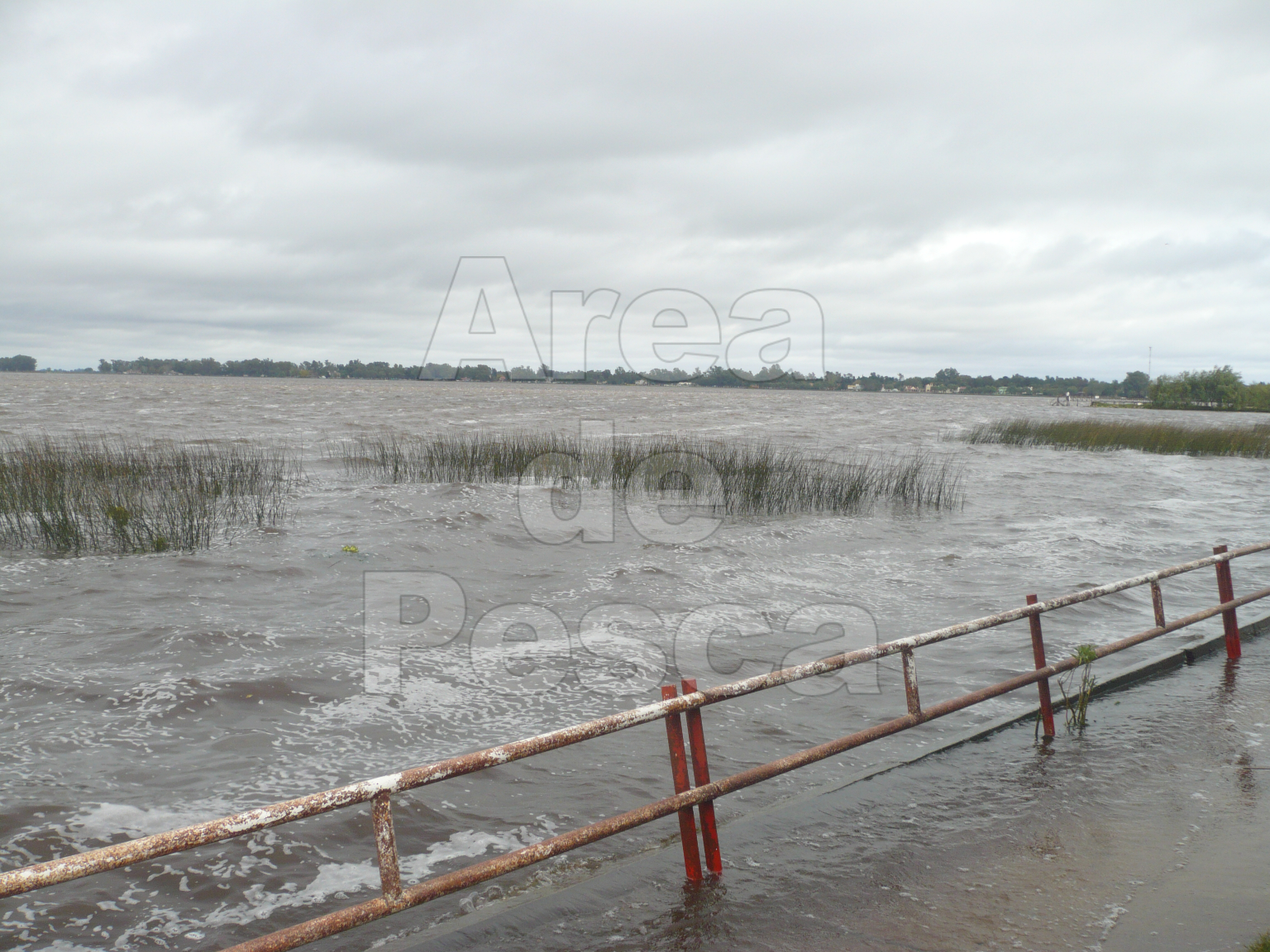 Area de Pesca: El pique en Laguna de Monte y Laguna Las Perdices (10-10-14)