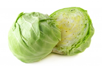 Manfaat Kubis Bagi Kesehatan Tubuh - Tanaman Berkhasiat dan Obat ...