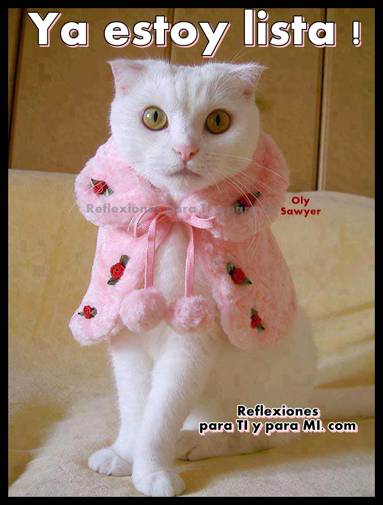 Reflexiones para TI y para MÍ: * Ya estoy lista