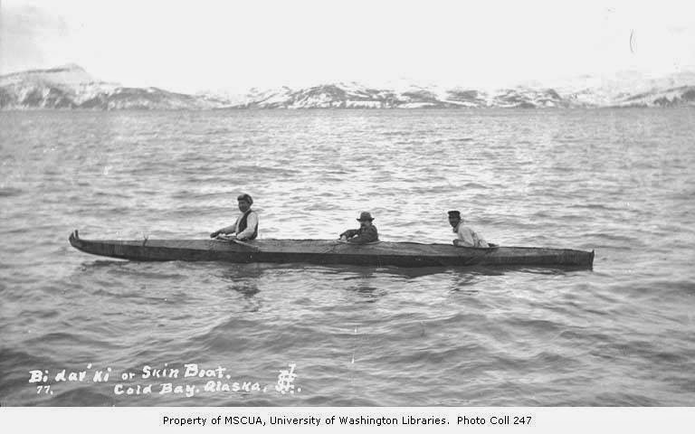 Skinboat Journal: The Shape of the Unangan (Aleut) Kayak