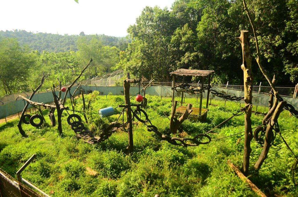 Frisca's Uniquely World: Borneo Orangutan Survival Foundation (BOSF ...