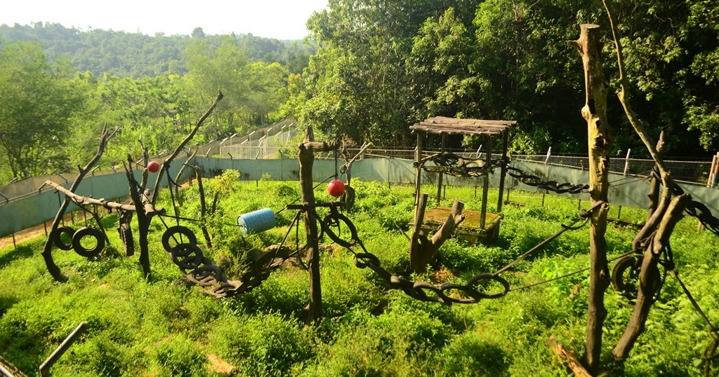 Frisca's Uniquely World: Borneo Orangutan Survival Foundation (BOSF ...