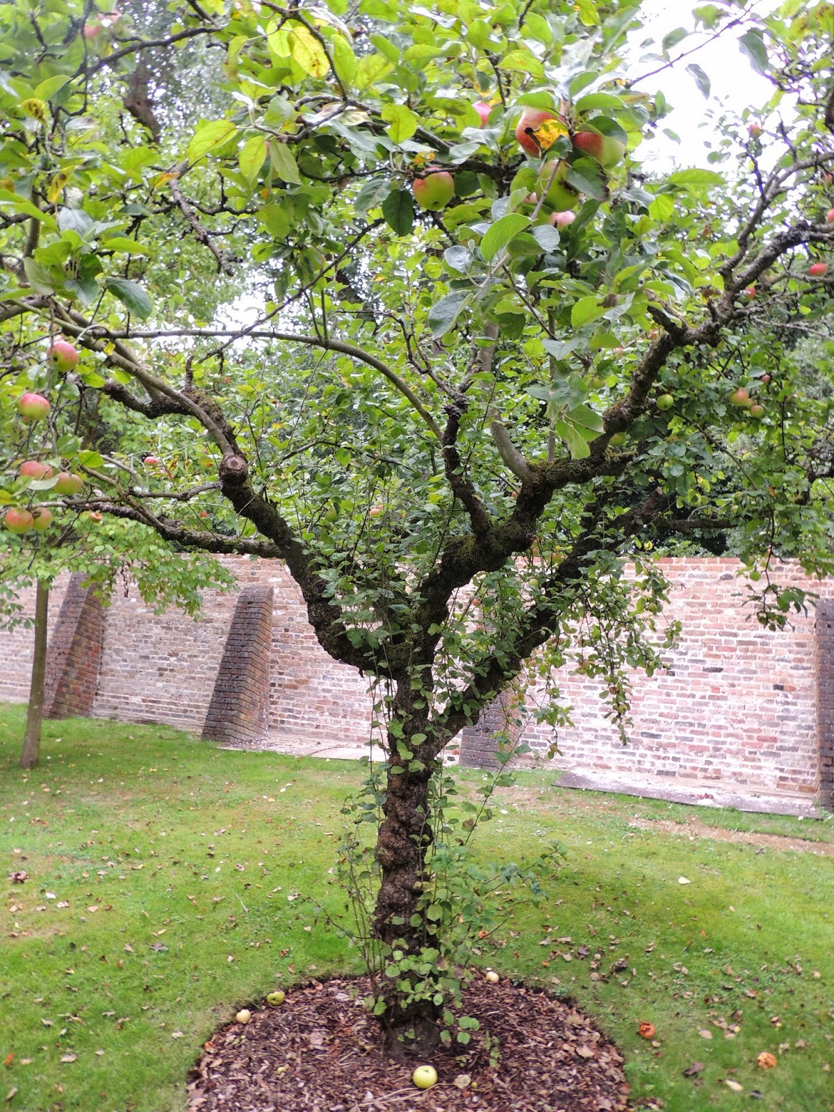 Kingston University Biodiversity Action Group - retired: Autumn 2013 ...