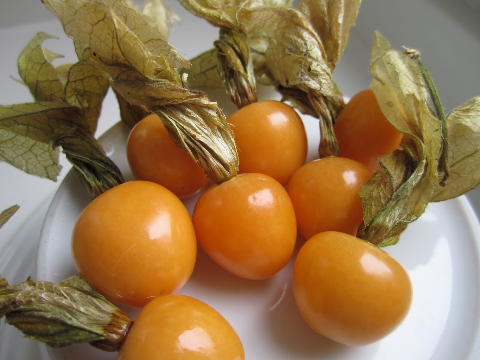 Frutas Más Exóticas y Raras del Mundo :: subdivx