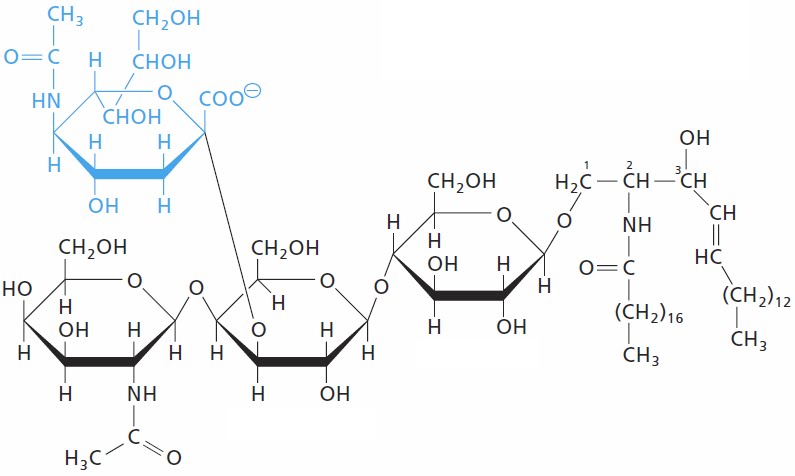 Sandwalk: Monday's Molecule #162
