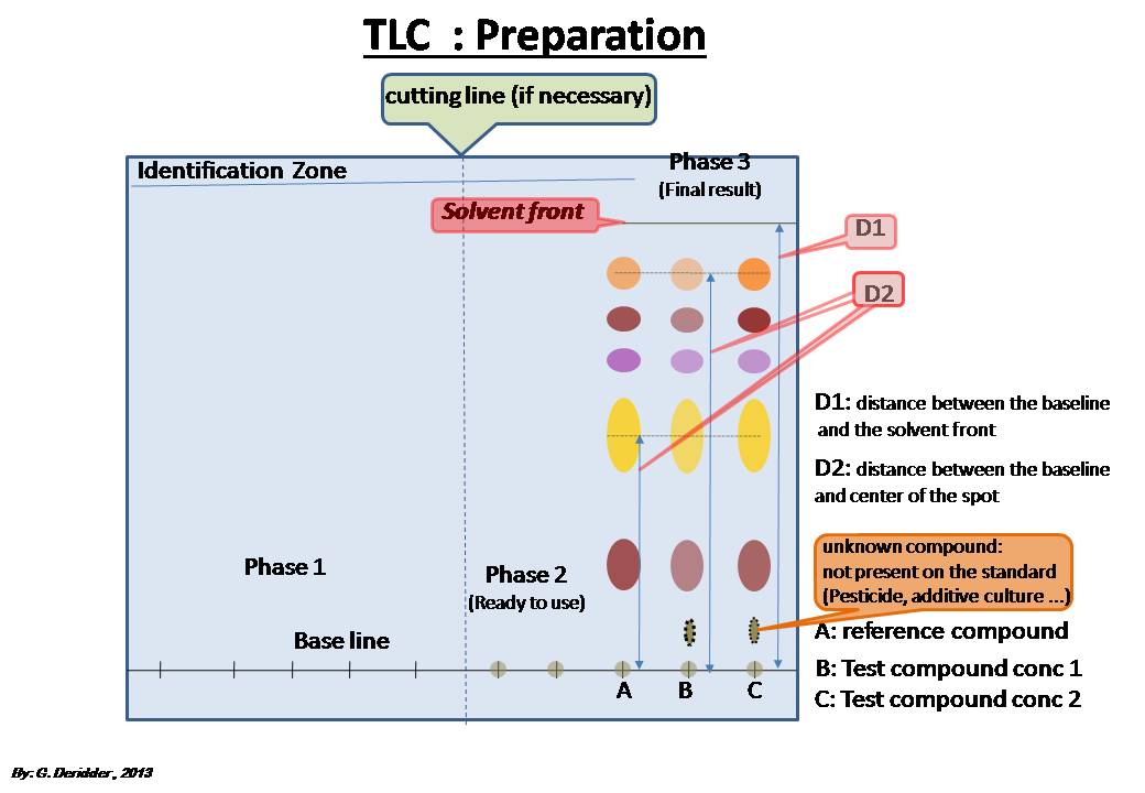 Be healthy by plants and common sense: it's possible