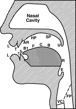 Speech Sounds Conceptual Framework