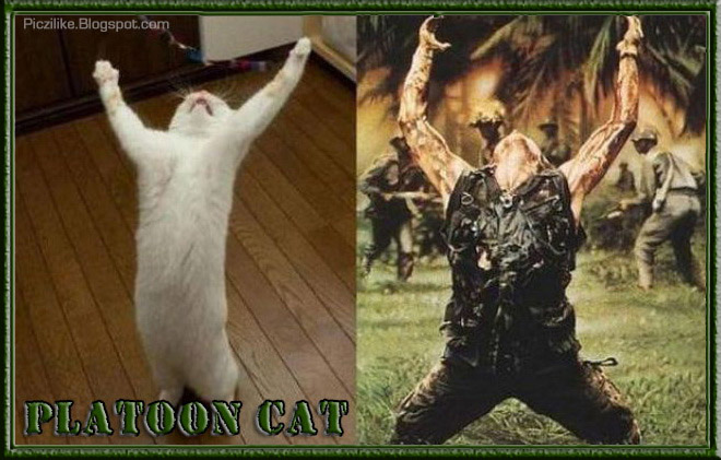 Picz I Like: March 2013