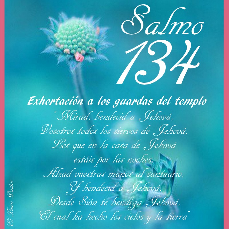 YO SOY EL BUEN PASTOR: Exhortación a los Guardas del Templo...