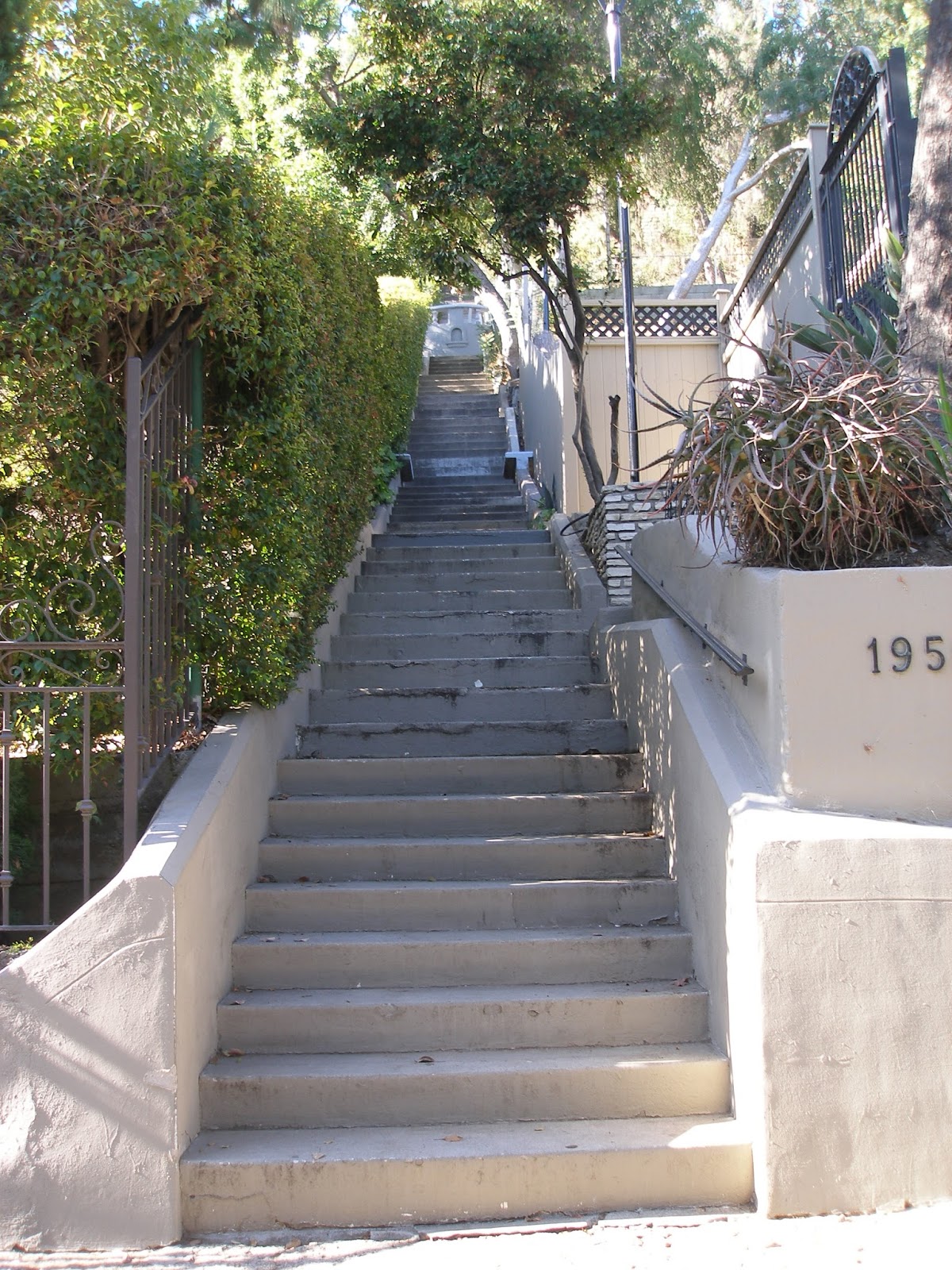 Los Angeles: Climbing the Hidden Stairways: Staircases in Hollywood