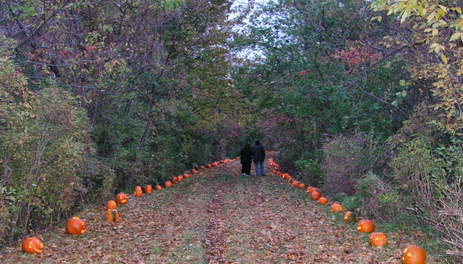 CANANDAIGUA BOTANICAL SOCIETY . . . . Celebrating 149 years in 2023 ...