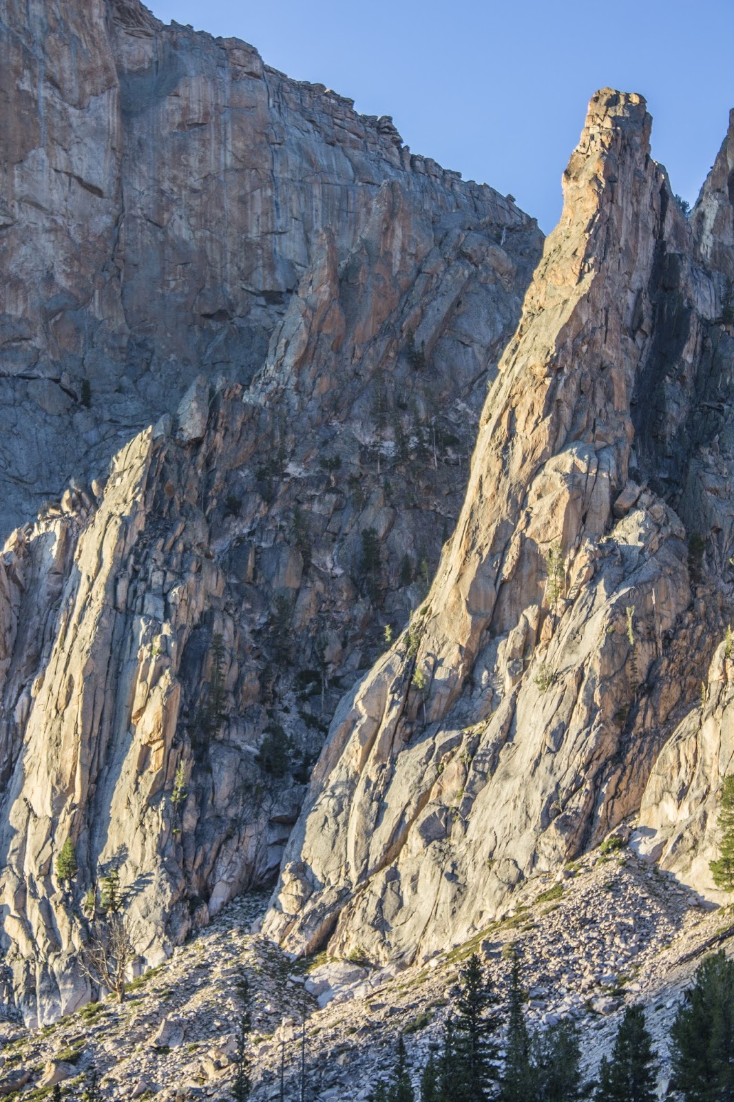 Living Earl: The Sawtooth Range