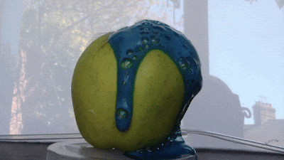 Louise Johnson Photography