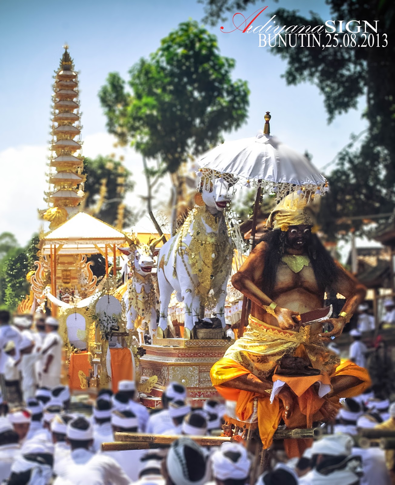 ArtPhotography: JASA DOKUMENTASI UPACARA PITRA YADNYA / NGABEN