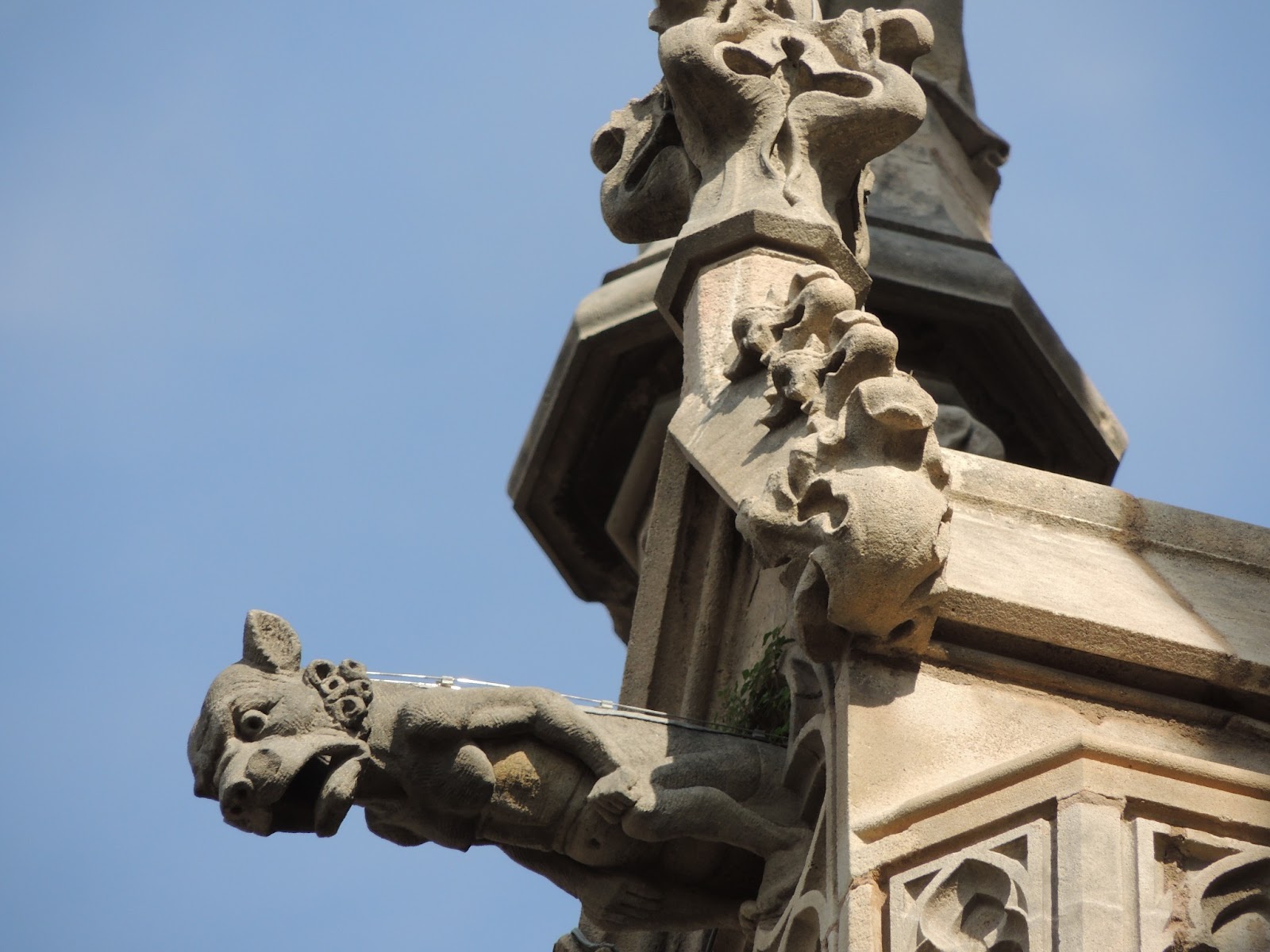 Blog de Josep Valcarce: Gàrgoles de la Barcelona gòtica