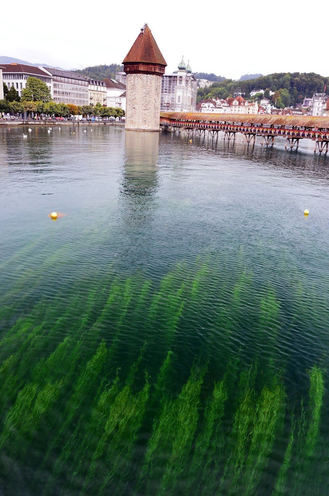 Daniela: 15 august 2015 - ELVEȚIA (VII) - LUCERNA și Cascada RINULUI