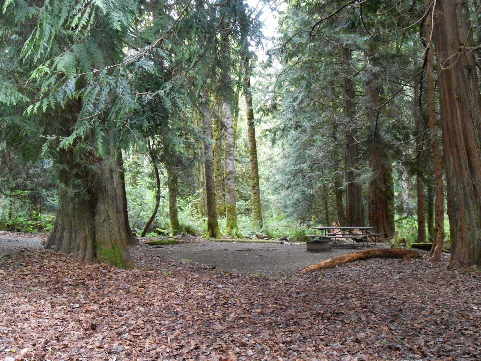 Diary of a Pair of RV Virgins: Flowing Lake County Park, Snohomish, WA