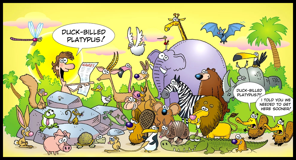 Praises and Prayers: Yet, HE let us....