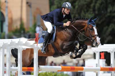 élevage de vie : chevaux de sport: Plot Blue : Plot Blue l'étalon par ...